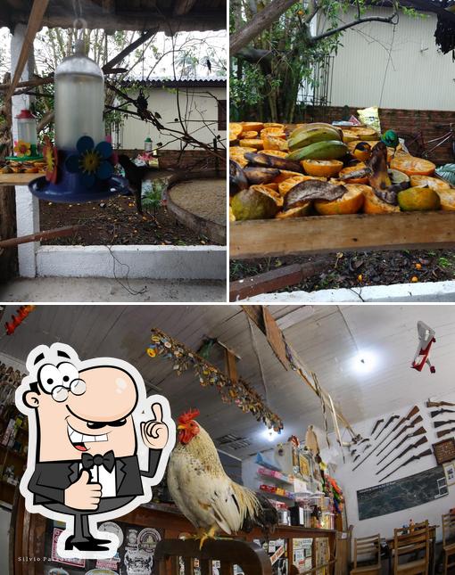 Bar do Alemão - Mini Museu, Brasil - Avaliações de restaurantes