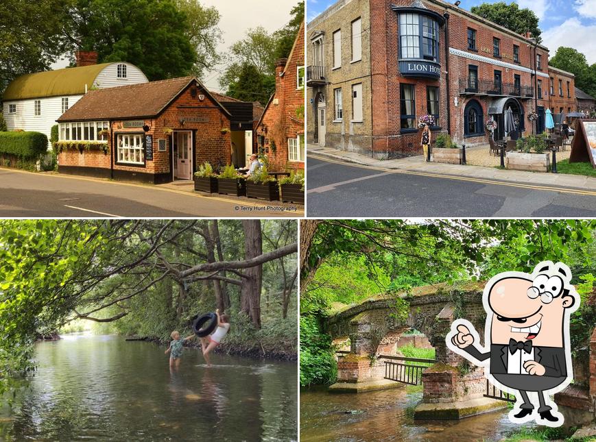 The Lion, Farningham - Restaurant menu, prices and reviews