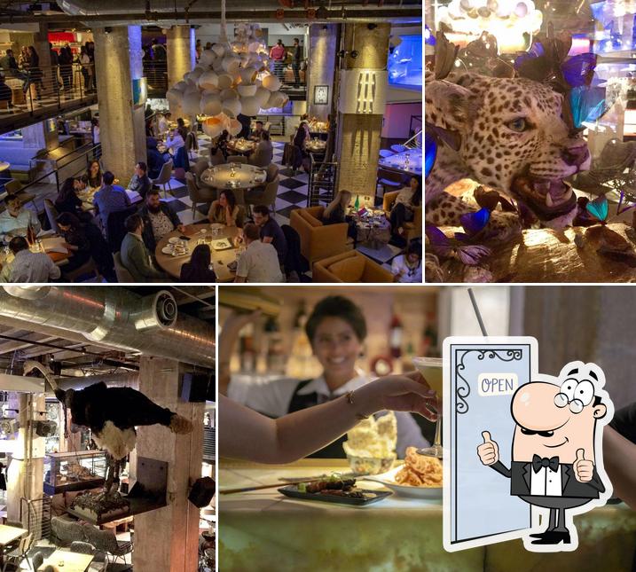 Mrs. Fish in Los Angeles - Restaurant menu and reviews