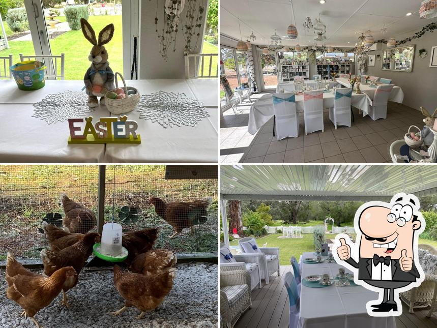 The Little Wren Farm High Teas-Bookings only., Lake Clifton ...