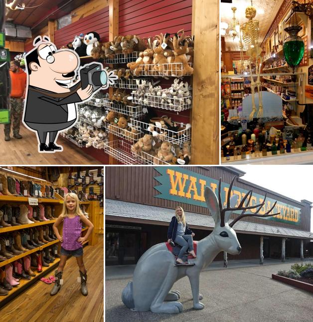 Wall Drug Store, 510 Main St in Wall - Restaurant menu and reviews