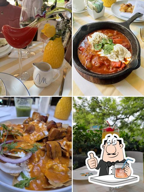 Restaurante Mandolina, Ciudad de México - Carta del restaurante y opiniones