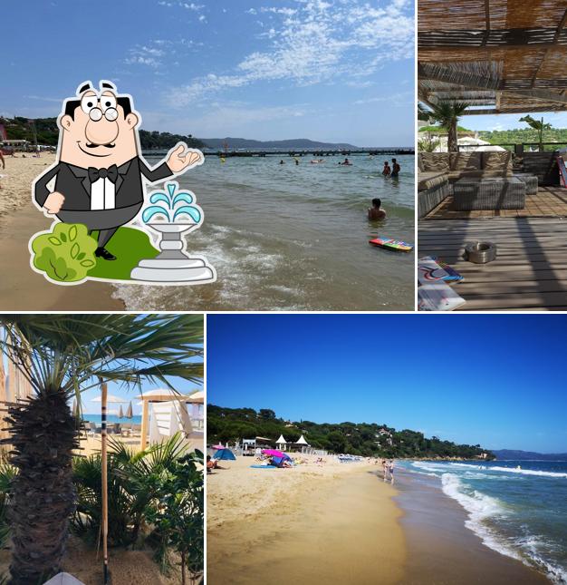 Tabou Beach restaurant, La Croix-Valmer - Restaurant menu and reviews