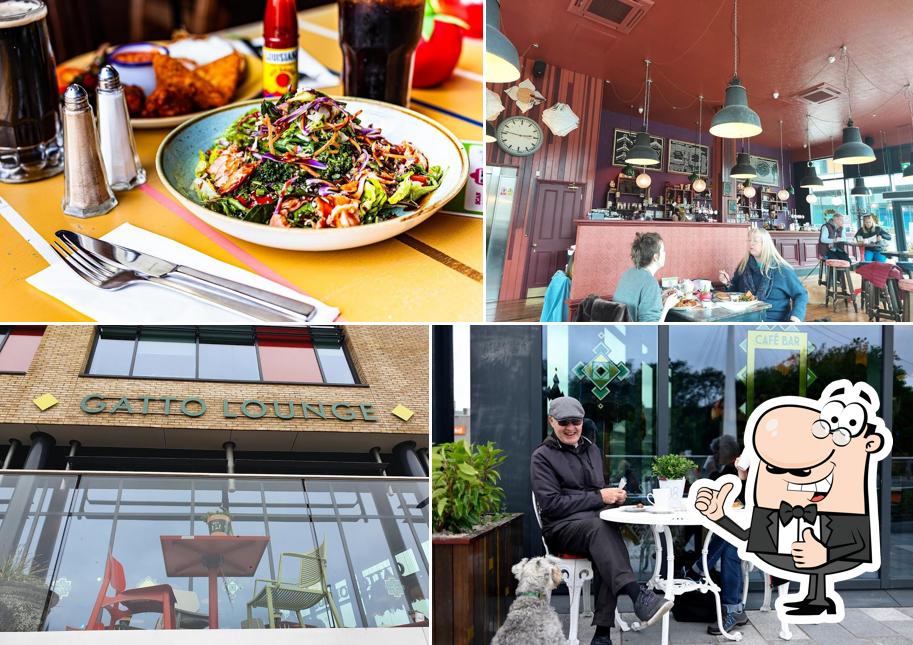 Gatto Lounge in Pontypridd - Restaurant menu and reviews
