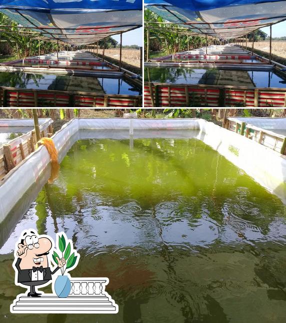 ZAKHIRA FARM cafe, Ciasem Girang - Restaurant reviews