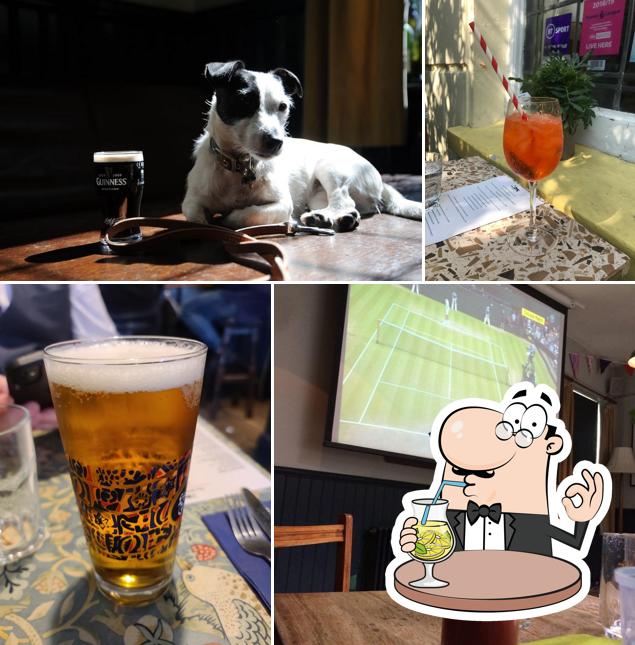 The Scolt Head in London - Restaurant menu and reviews