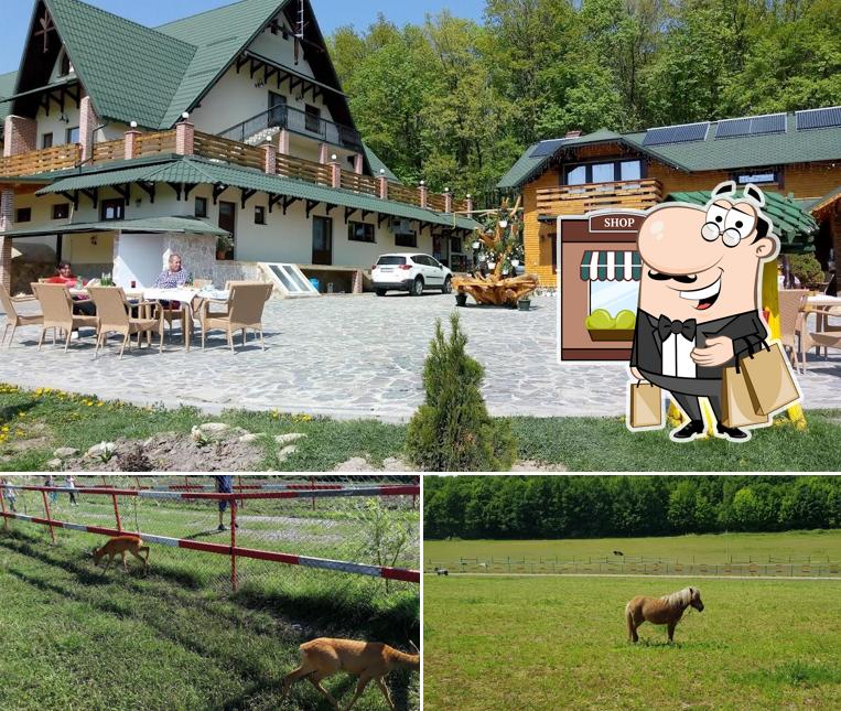 Cabana Vanatoreasca Motca, Moțca - Restaurant menu, prices and reviews