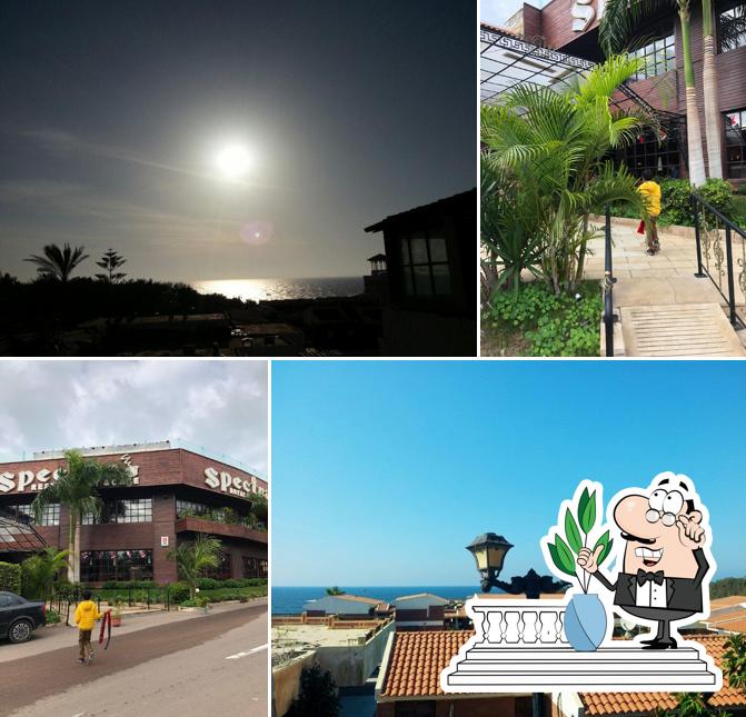 Spectra Resturant & Cafe, Alexandria, 72P6+CPV - Restaurant menu and ...