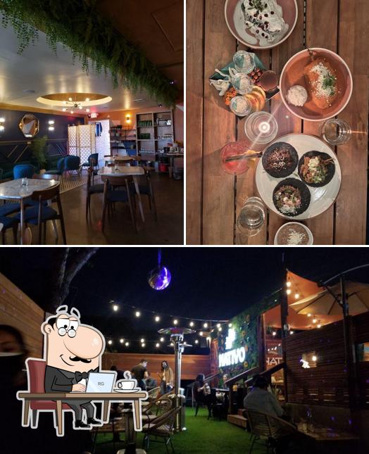 Nativo in Los Angeles - Restaurant menu and reviews
