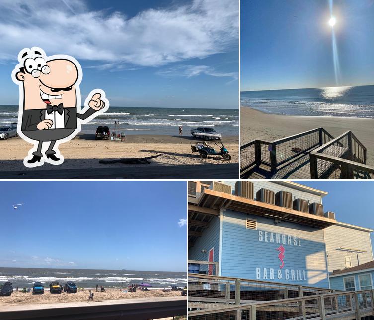 Seahorse Bar & Grill in Surfside Beach - Restaurant menu and reviews