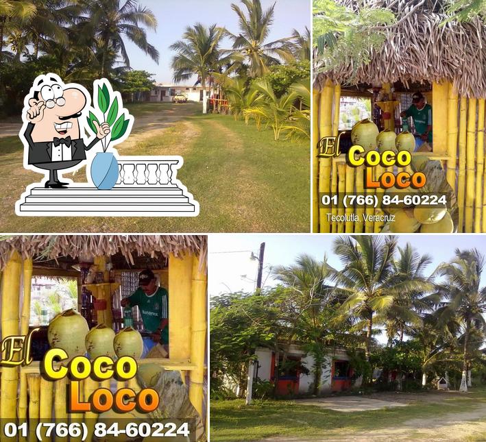 El Coco Loco pub & bar, Tecolutla - Restaurant reviews