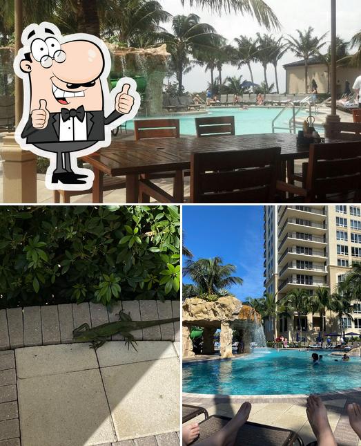The Resort at Singer Island in Riviera Beach - Restaurant menu