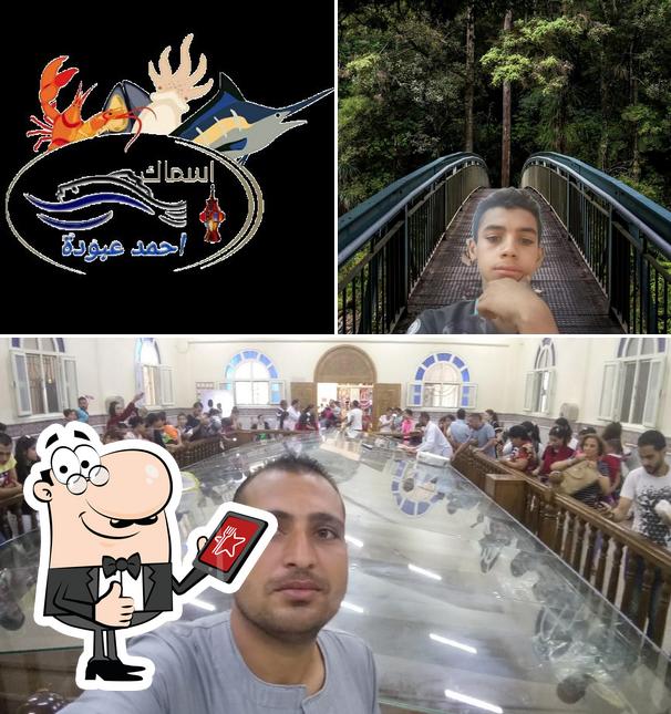 Assad Restaurant, Égypte - Restaurant reviews