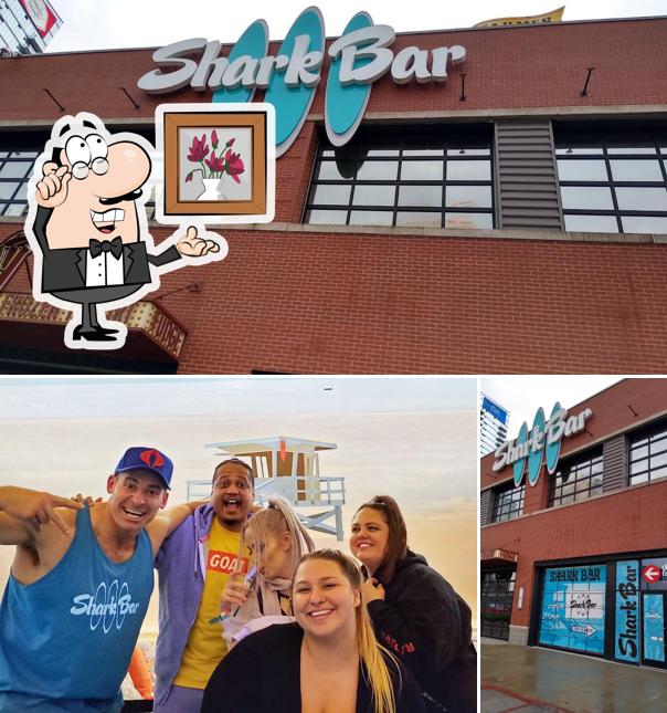 Shark Bar in St. Louis - Restaurant reviews