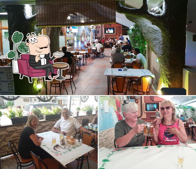Leskovac, Paralia - Restaurant reviews