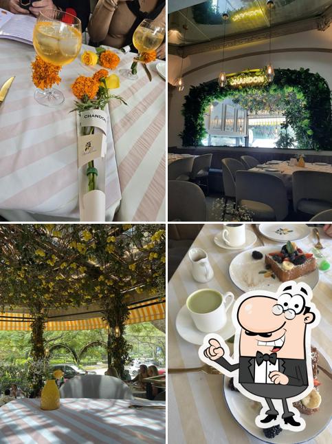 Mandolina Polanco, Ciudad de México - Menú del restaurante, precios y ...