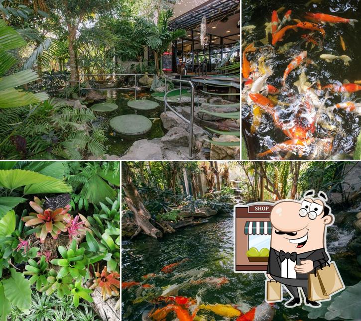 Best fish in Mae Kasa restaurants, spring 2024 - Restaurant Guru
