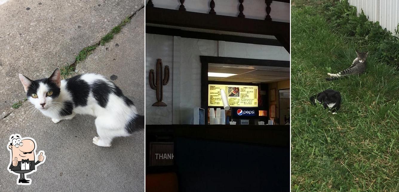 Taco Bandido in Saint Joseph - Restaurant menu and reviews