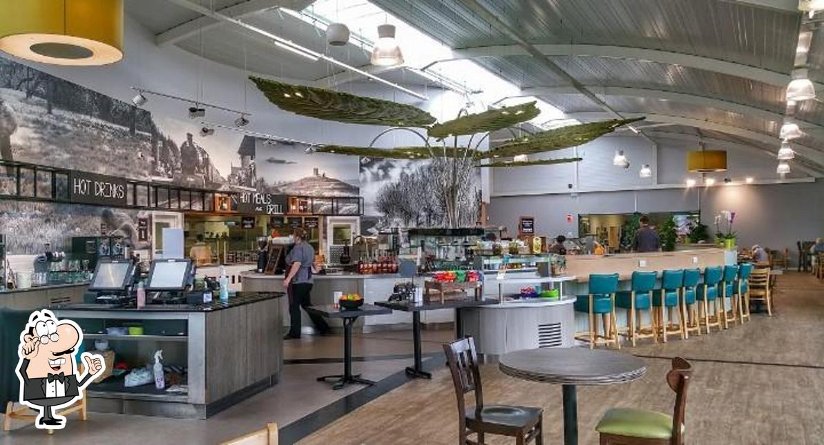 The Elm Tree Restaurant in Taunton - Restaurant menu and reviews