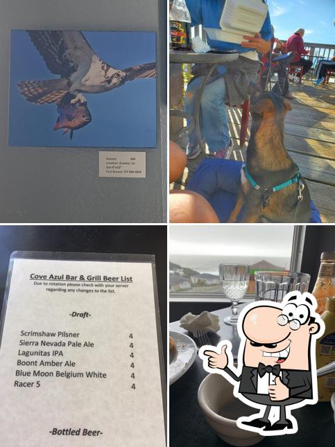 Cove Azul Bar & Grill in Gualala - Restaurant menu and reviews