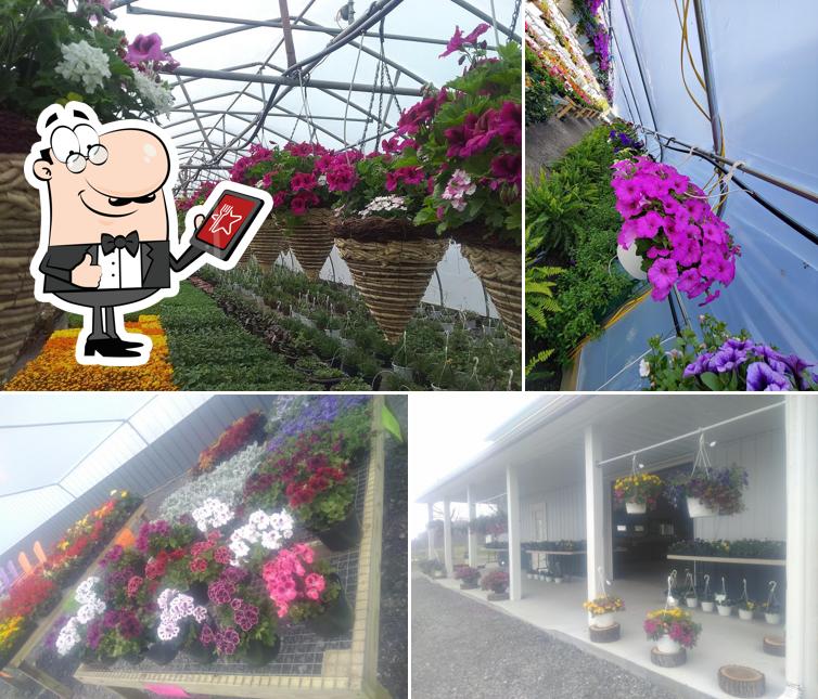 Outback Farm Market in Canandaigua - Restaurant reviews