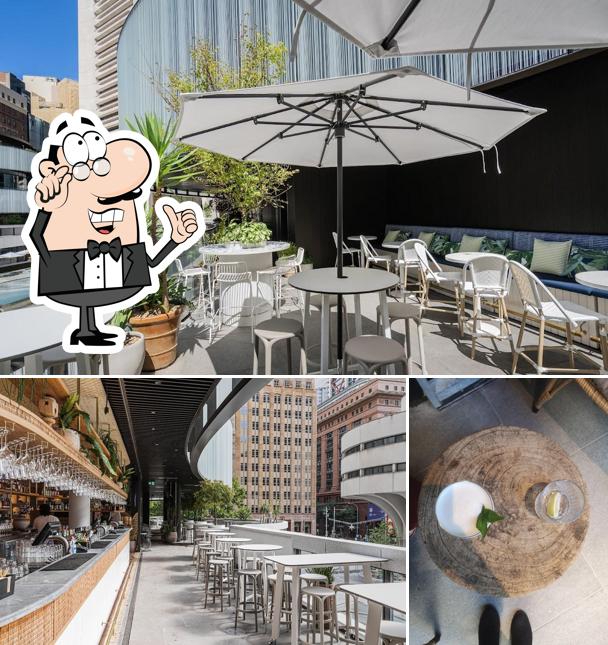 Cabana Bar, Sydney - Restaurant menu, prices and reviews