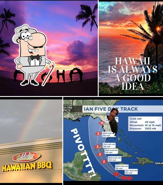 Aloha to Go - Hale (Hah-Lay) in Seminole - Restaurant menu and reviews