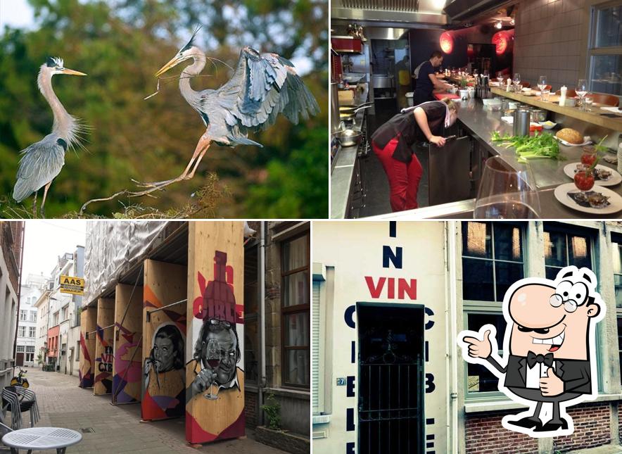 Invincible, Antwerp - Restaurant reviews