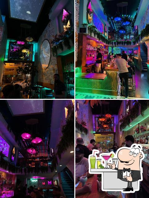 Nightingale Bar in San Francisco - Restaurant reviews
