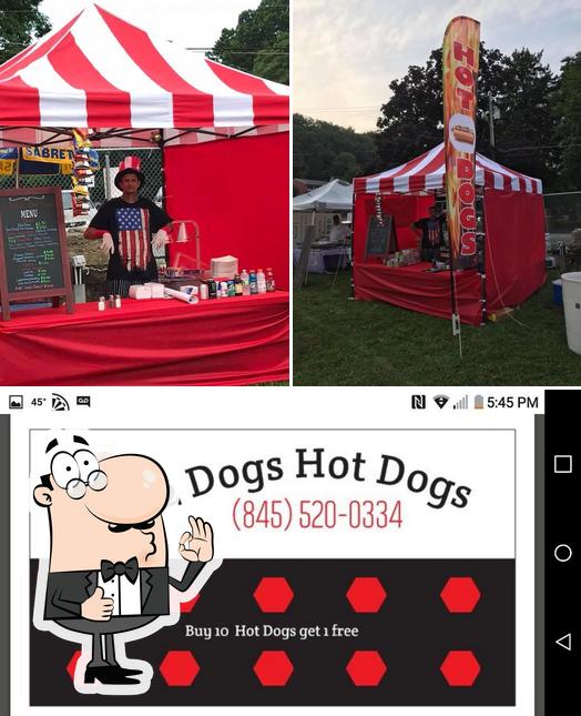 2 Dogs Hot Dogs in Highland Falls - Restaurant menu and reviews