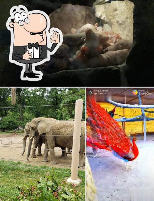 Zoo Auditorium in Cleveland - Restaurant reviews