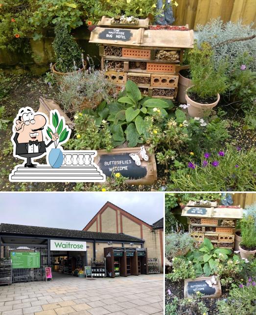 Waitrose & Partners in Melksham - Restaurant reviews