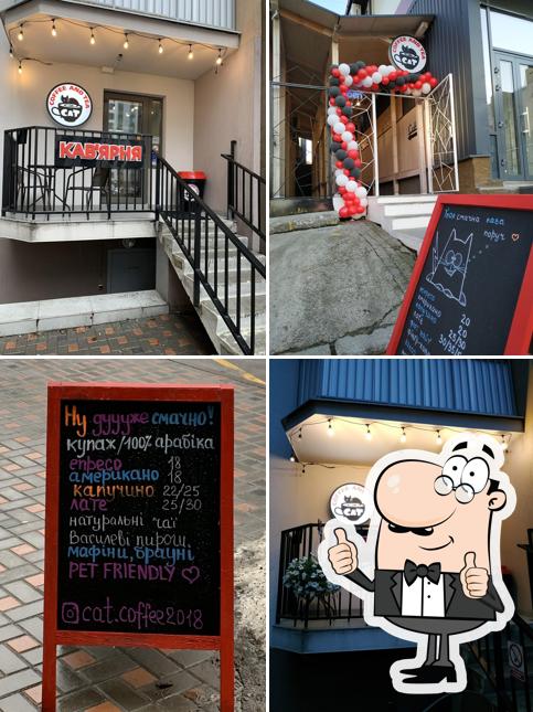 CAT Coffee and tea, Kyiv, Yurkivska St - Restaurant reviews