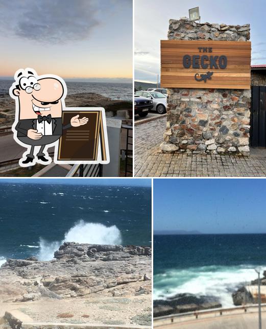 The Gecko Bar & Restaurant, Hermanus - Restaurant menu, prices and reviews
