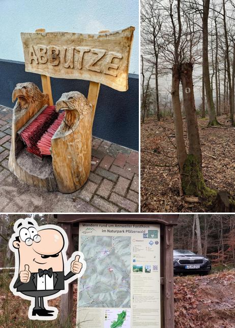 Forsthaus Annweiler am Trifels · Schwarzer Fuchs, Annweiler am Trifels ...