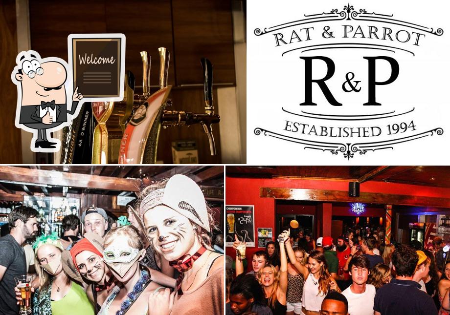 Menu of Rat & Parrot Grahamstown restaurant, Grahamstown - reviews and ...