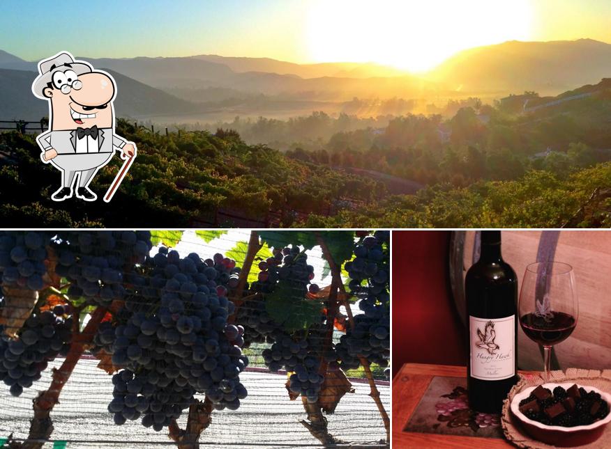Hungry Hawk Vineyards & Winery in Escondido - Restaurant menu and reviews