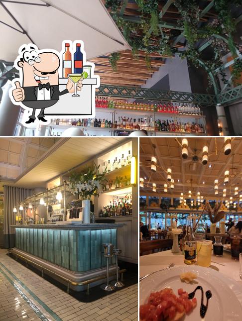 Restaurante Negroni Midtown, Guadalajara, Av Adolfo López Mateos Nte ...