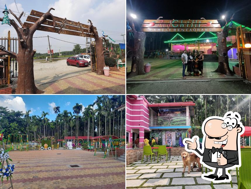 Top 5 places to eat in Madhya Madarihat, december 2025 - Restaurant Guru