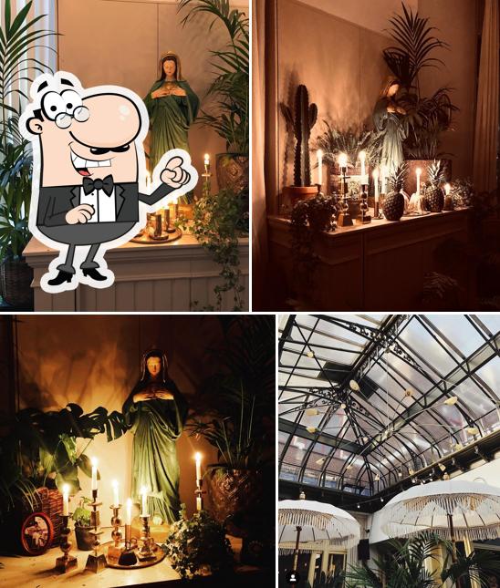Paco Ciao, Leiden - Restaurant reviews