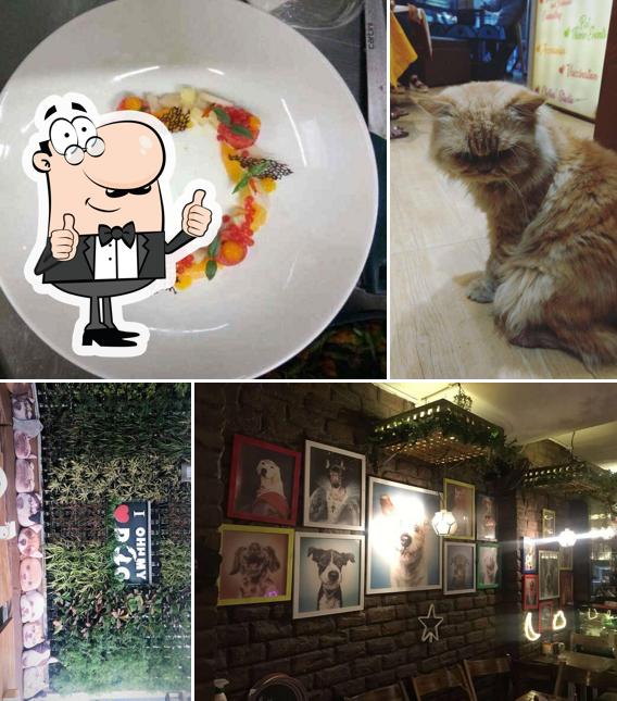 Ohh My Dog Pefe, Mumbai - Restaurant reviews