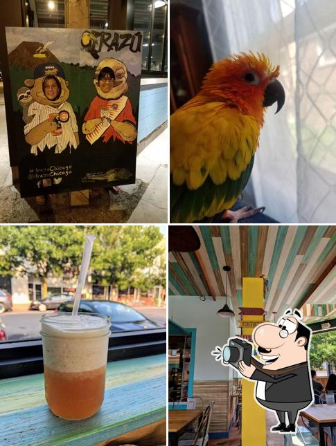 Irazu Costa Rican Restaurant & Catering in Chicago - Restaurant reviews