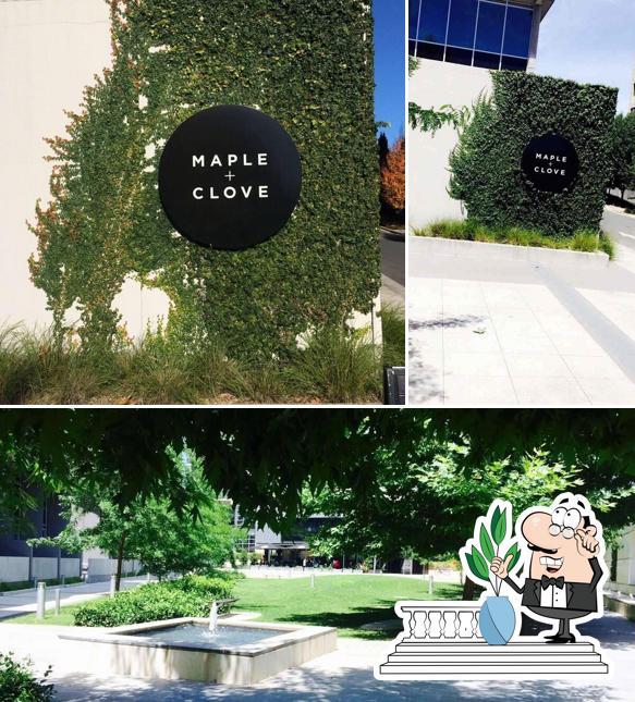Maple + Clove, Barton - Restaurant menu, prices and reviews