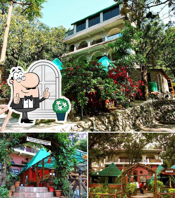 Pyramid Cafe & Guest House, Rishikesh - Restaurant menu, prices and reviews