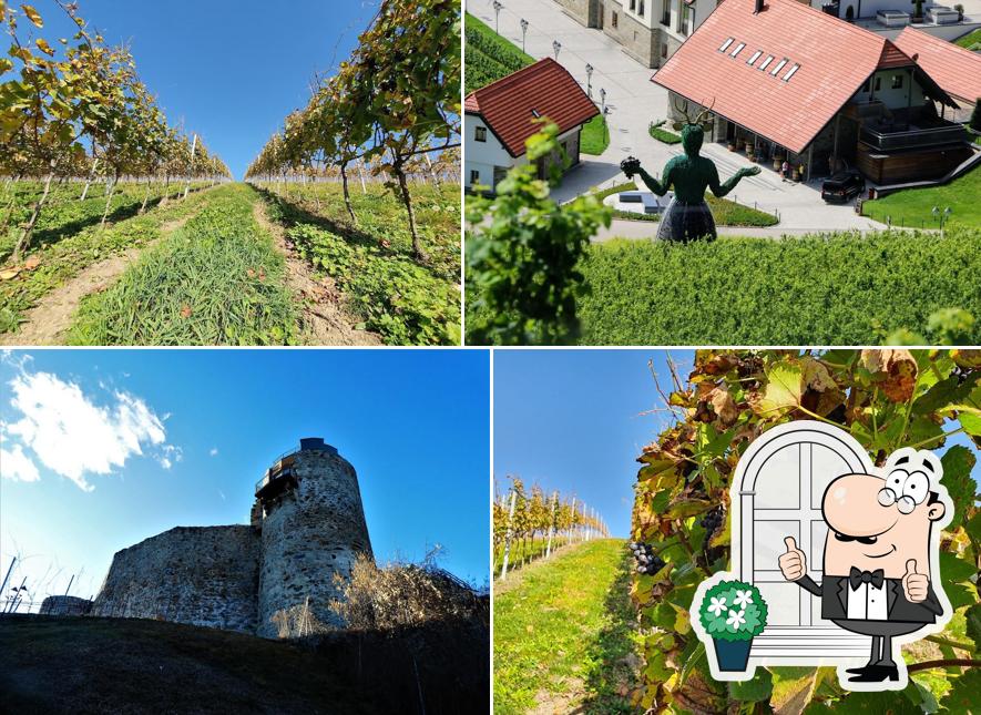 Burg Taggenbrunn, Sankt Veit an der Glan - Speisekarte, Preise und ...