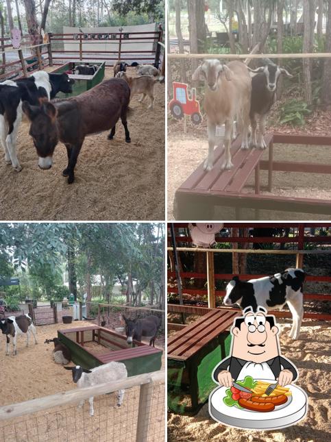 Farm Animal Cafe in Morayfield - Restaurant reviews
