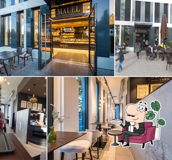 MAUEL 1883, Bonn, Genscherallee 12 - Restaurant reviews