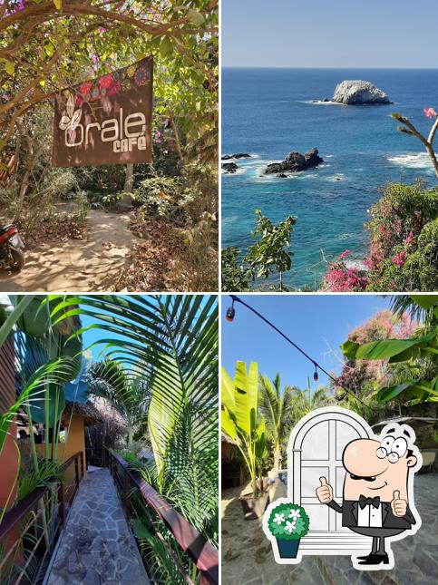 Orale Café - Restaurant menu, prices and reviews