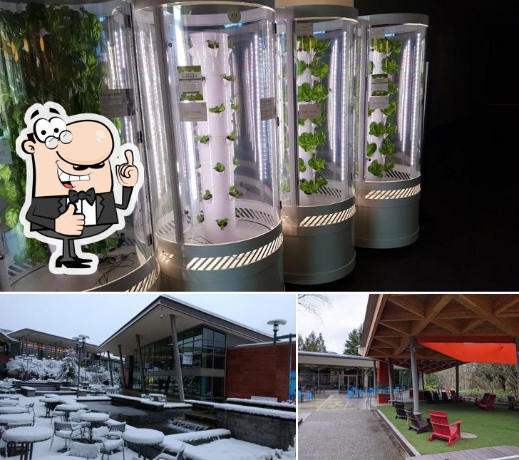 Microsoft Commons, Redmond - Restaurant menu, prices and reviews