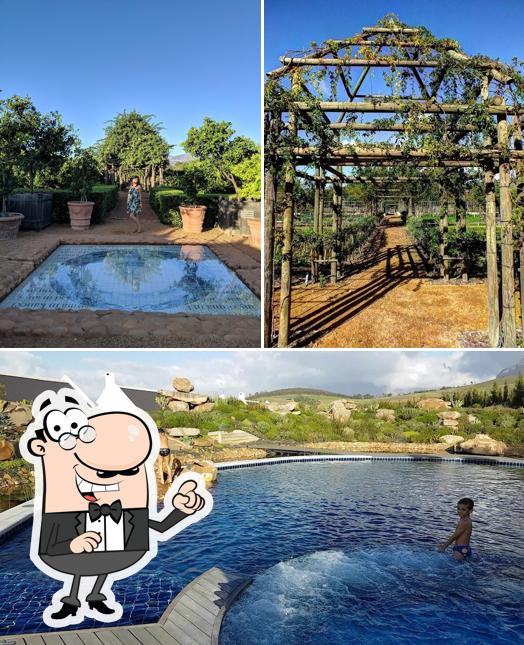 Babylonstoren - Restaurant menu, prices and reviews